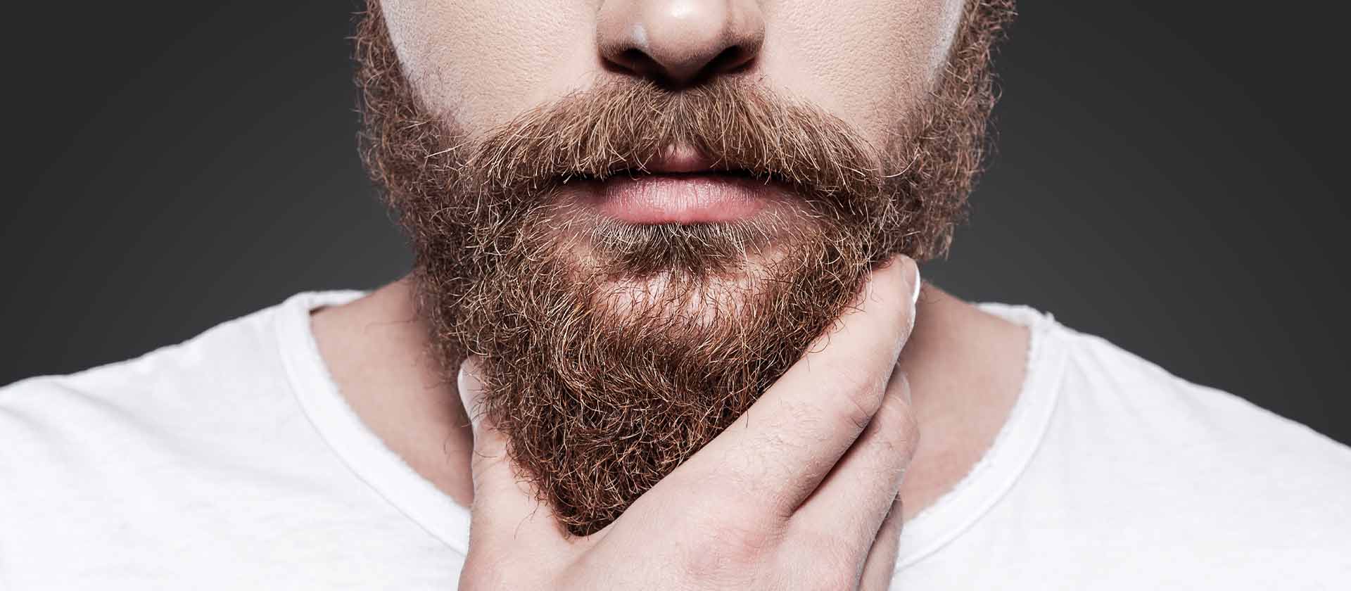 The Top Beard Trends Of 2020 - Eagle & Bear Barbers